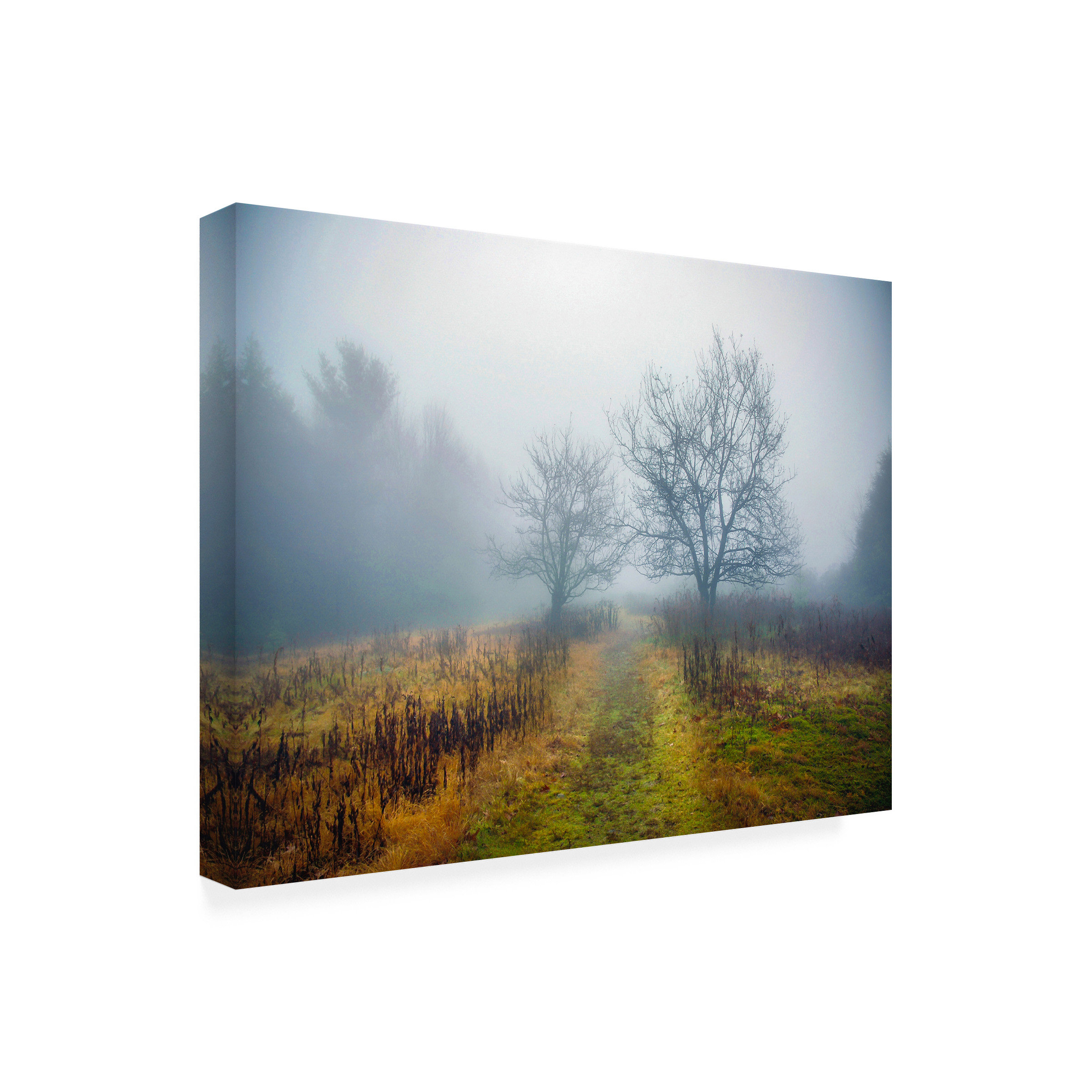 Winston Porter Magic Meadow Apples On Canvas by Kelly Sinclair Print | Wayfair
